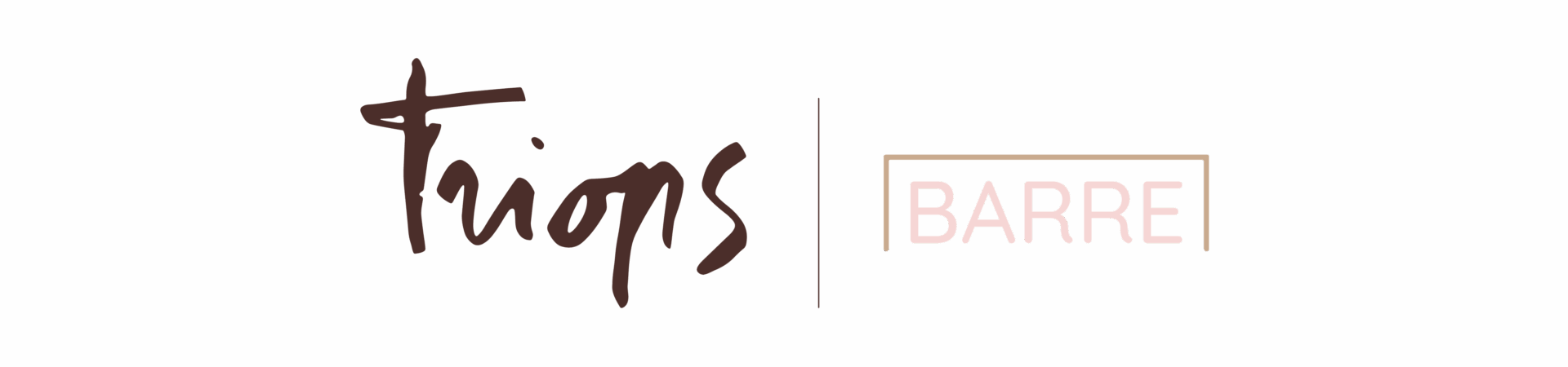 Barre - Gimnàs Triops Banyoles