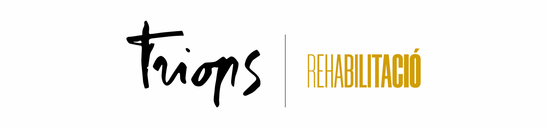Rehabilitació - Gimnàs Triops Banyoles